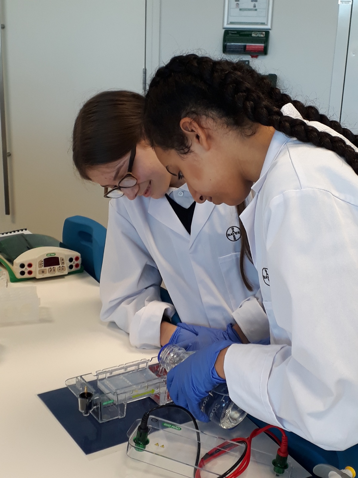 Little Heath School - LHS Careers activities