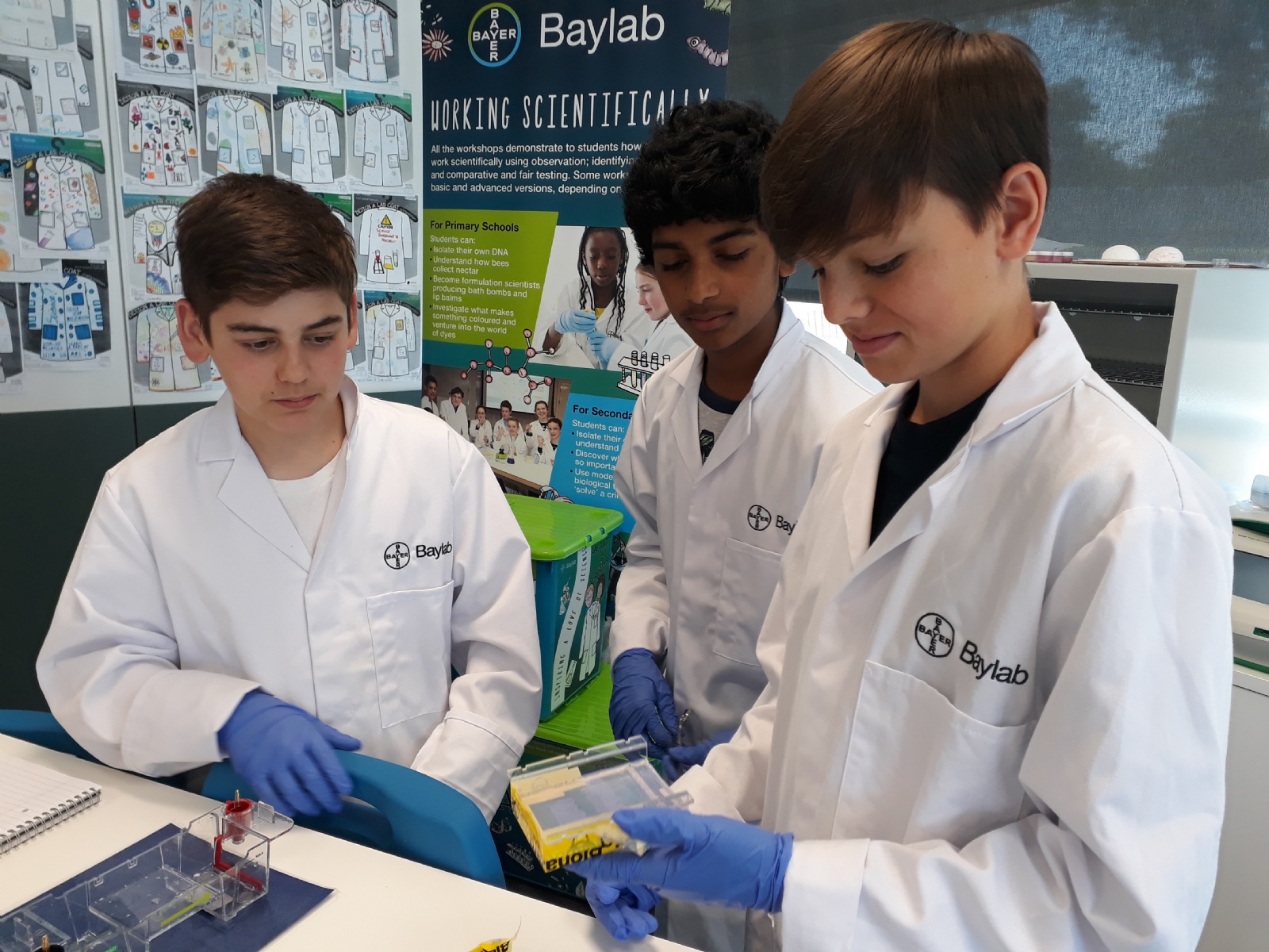 Little Heath School - LHS Careers activities